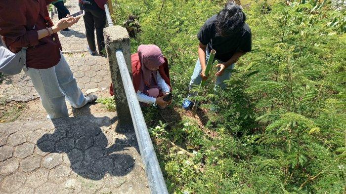 Informasi | Teknik Arsitektur | Archipelago UNG Tanam Pohon di Area ...